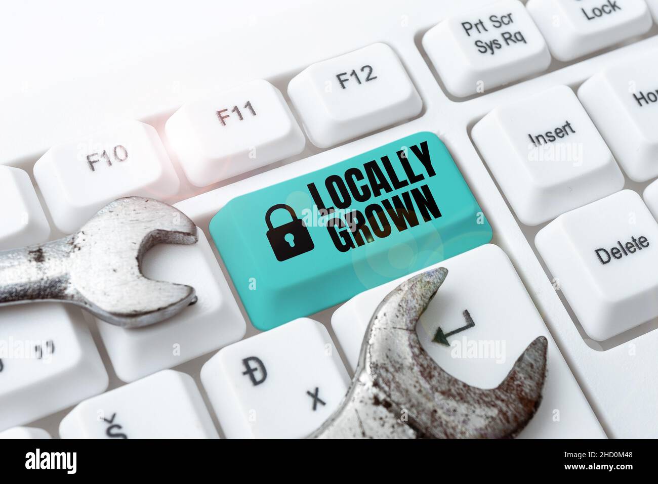 Text sign showing Locally Grown. Business showcase Produced ... Text sign showing Locally Grown. Business showcase Produced ...