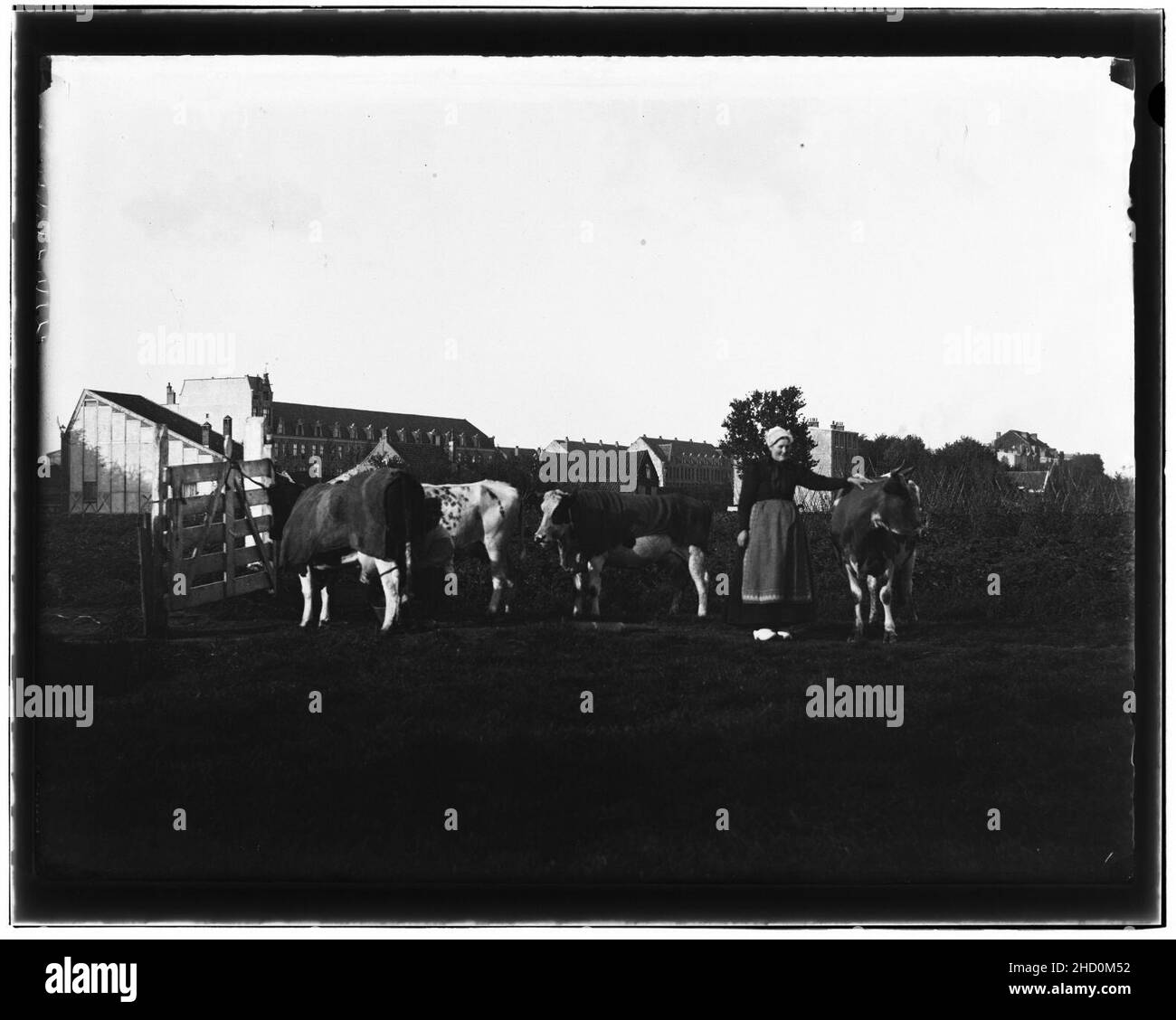 Ringdijk, foto 2 Jacob Olie (max res Stock Photo - Alamy