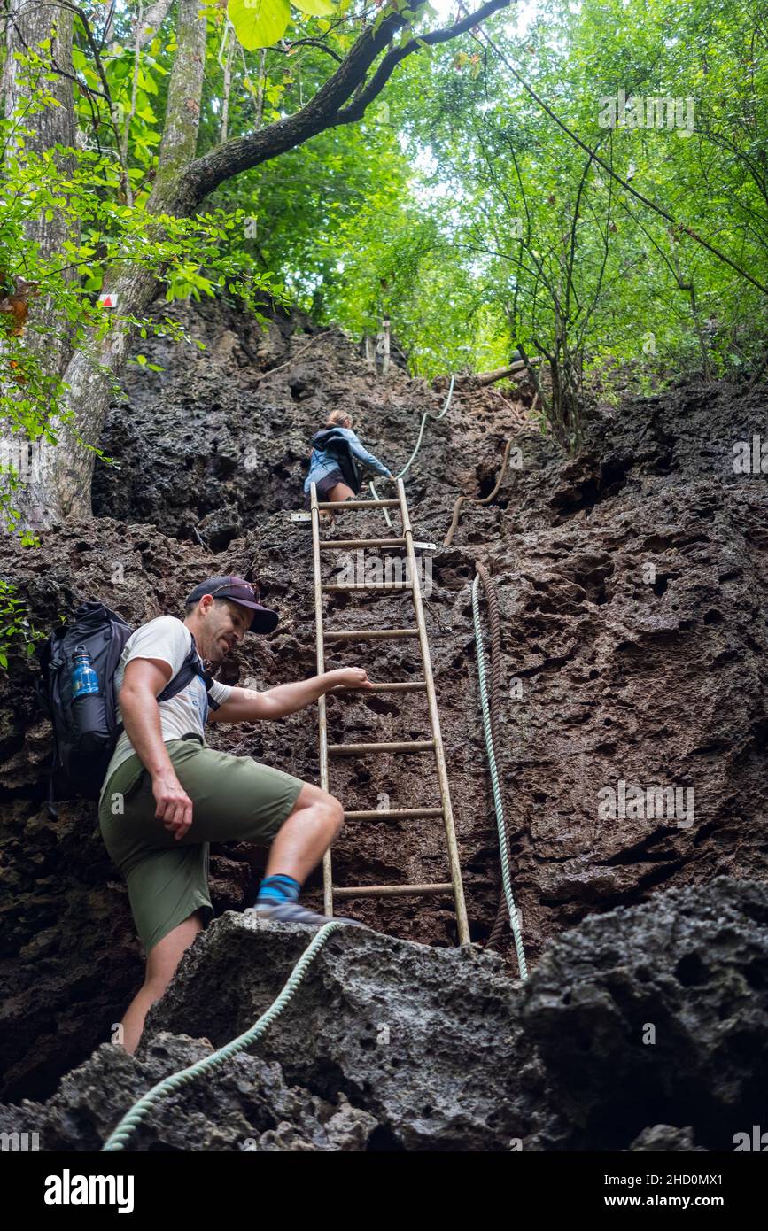 Indian ladder hi-res stock photography and images - Alamy