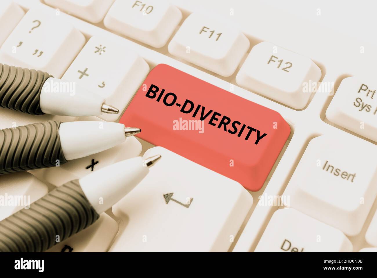 Inspiration showing sign Bio Diversity. Internet Concept Variety of ...