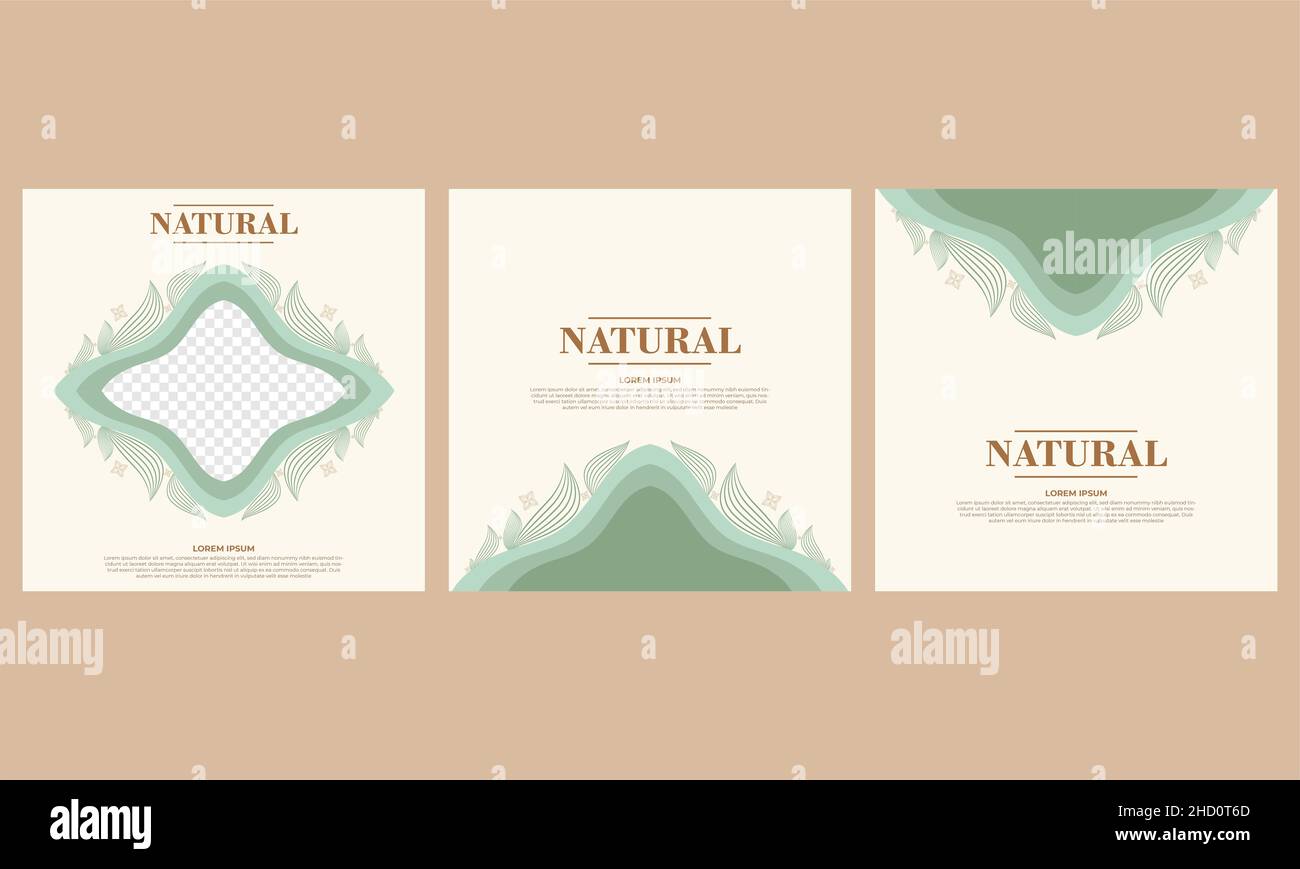 natural floral social media post template collection Stock Photo - Alamy