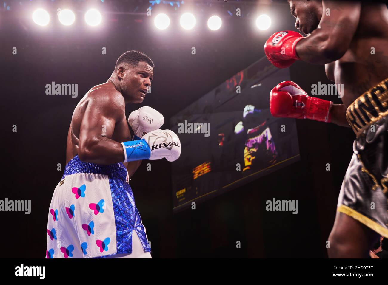 Charles martin boxer hi-res stock photography and images - Alamy