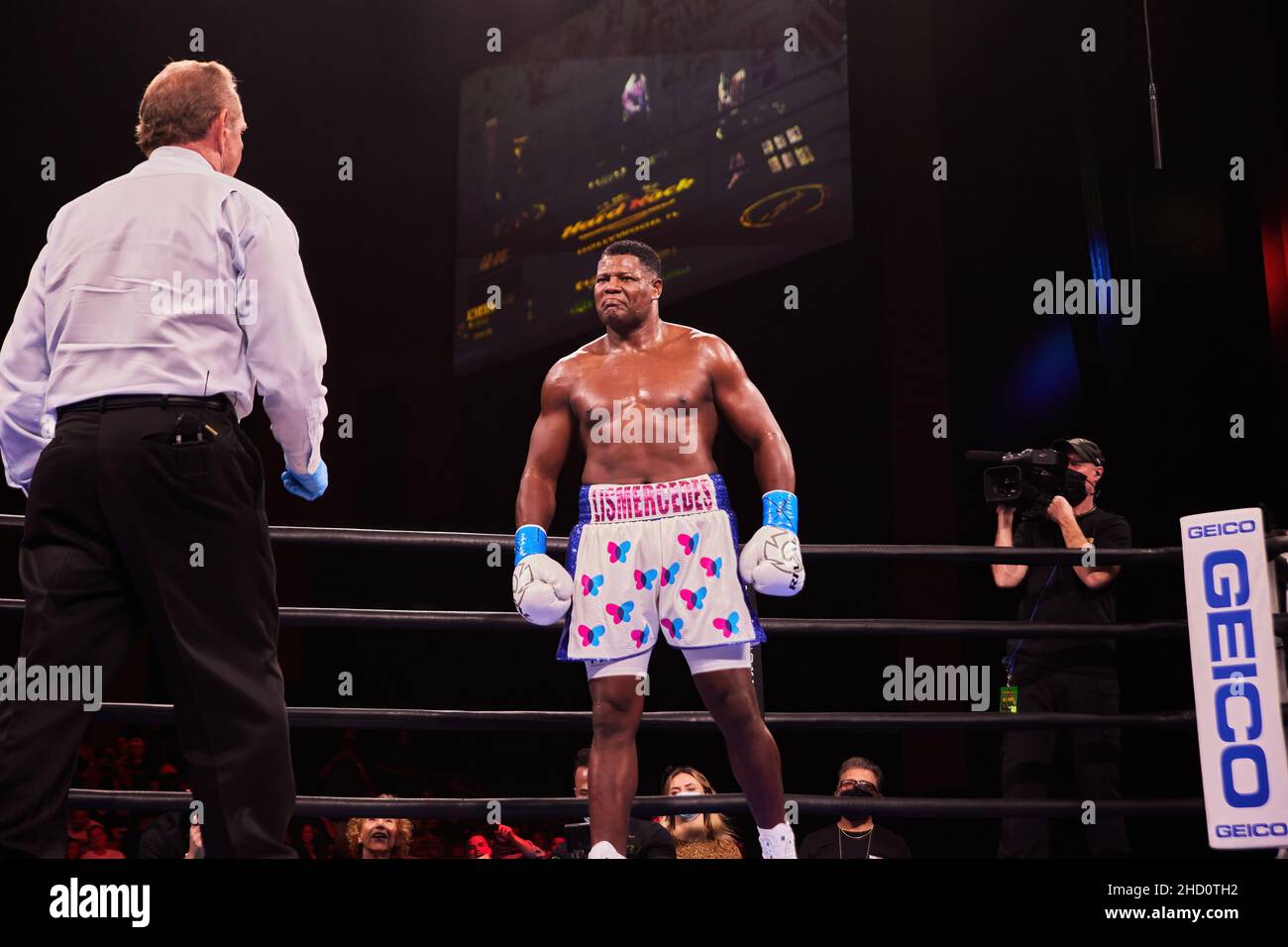 Frank martin boxing hi-res stock photography and images - Alamy