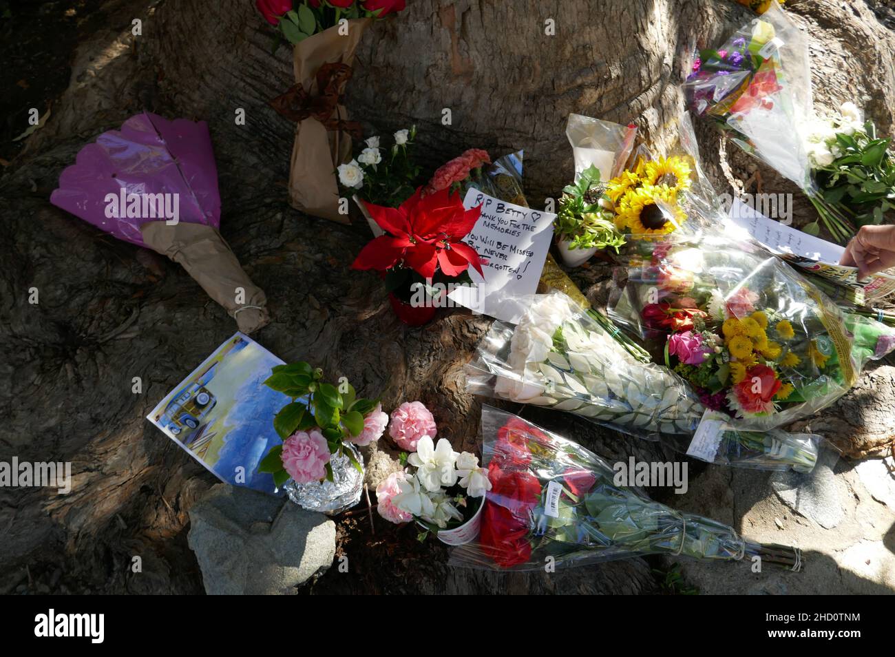 Los Angeles, California, USA 1st January 2022 Flowers and Notes Left in ...