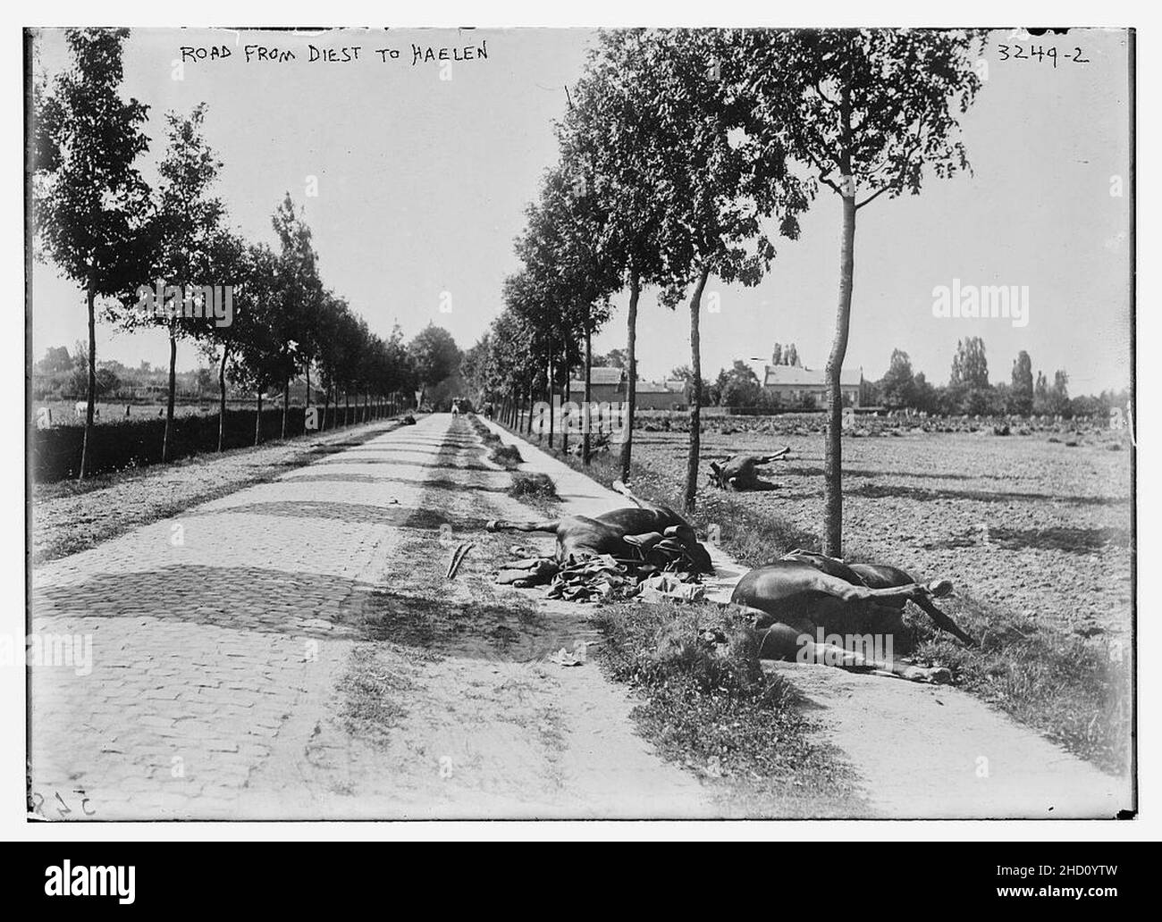 Road from Diest to Haelen Stock Photo - Alamy