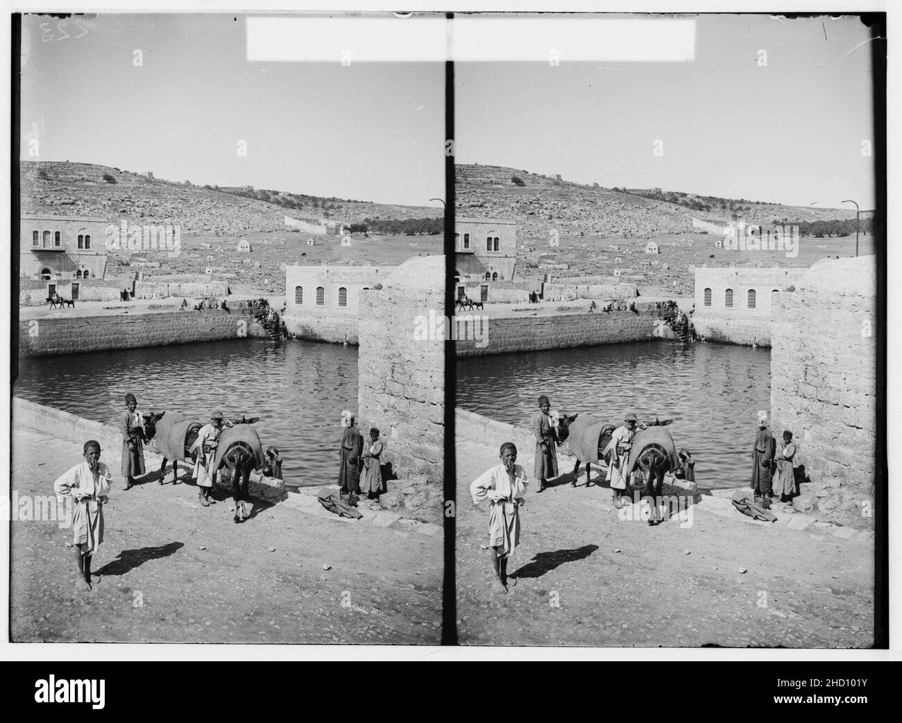 Road to Hebron, Mar Saba, etc. David's Pool Stock Photo - Alamy