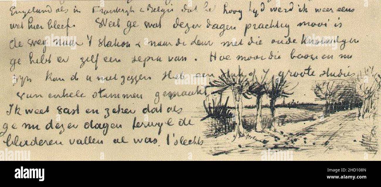 Road with Pollard Willows jh50 Stock Photo - Alamy