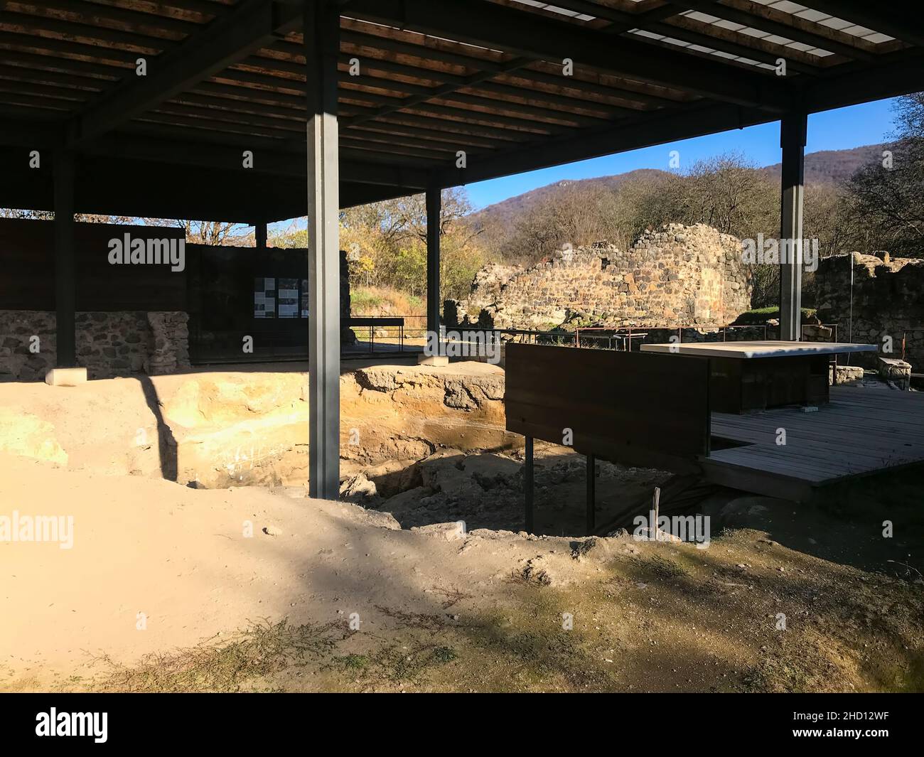 Homo erectus dmanisi hi-res stock photography and images - Alamy