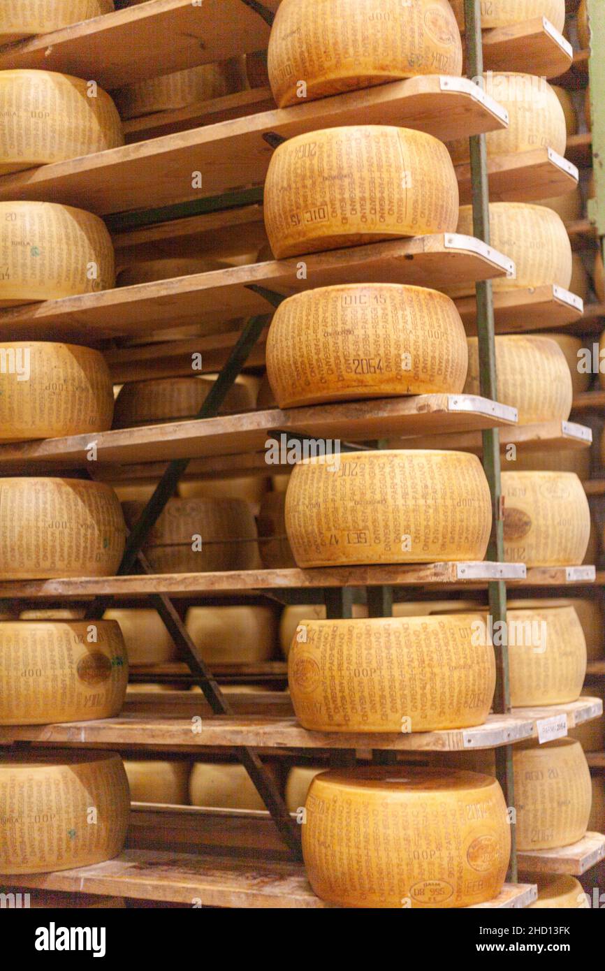 Working in diary cheese factory hi-res stock photography and images - Alamy