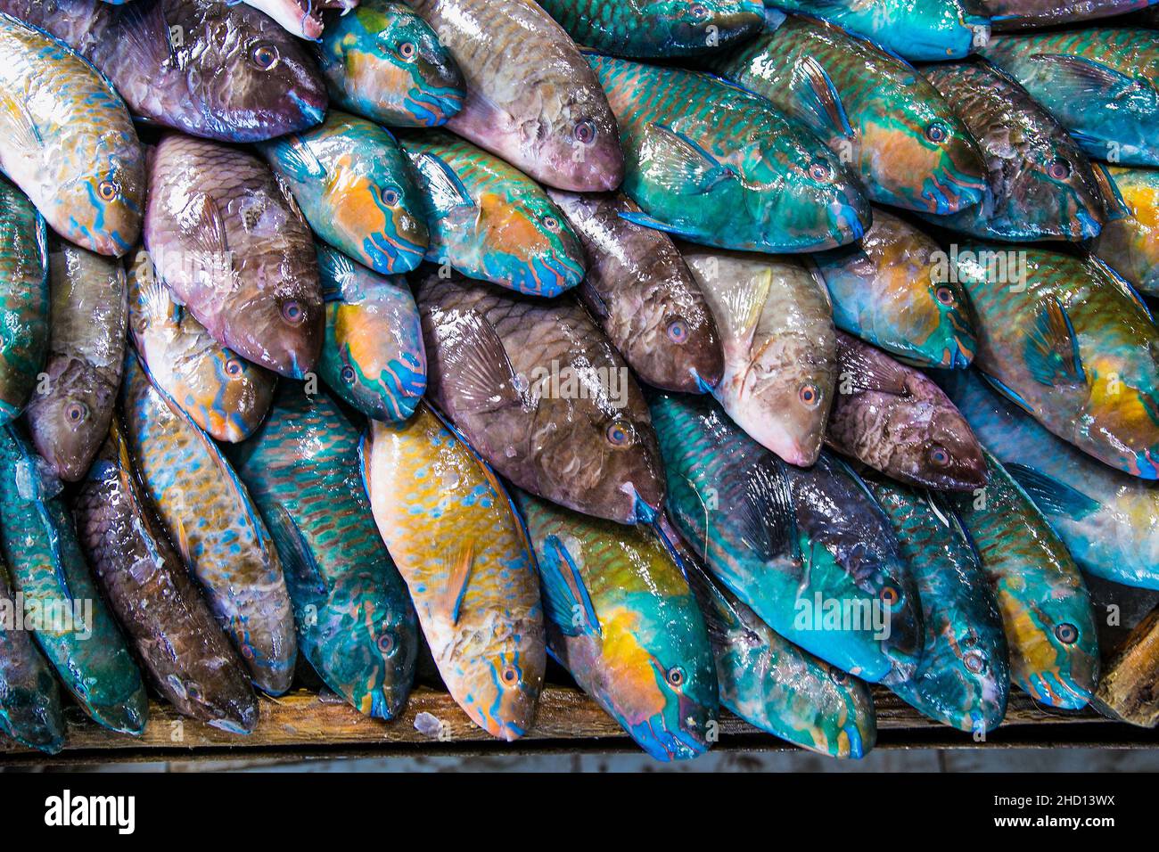 Fresh fish on open fish market in Hurghada city, Egypt Stock Photo - Alamy