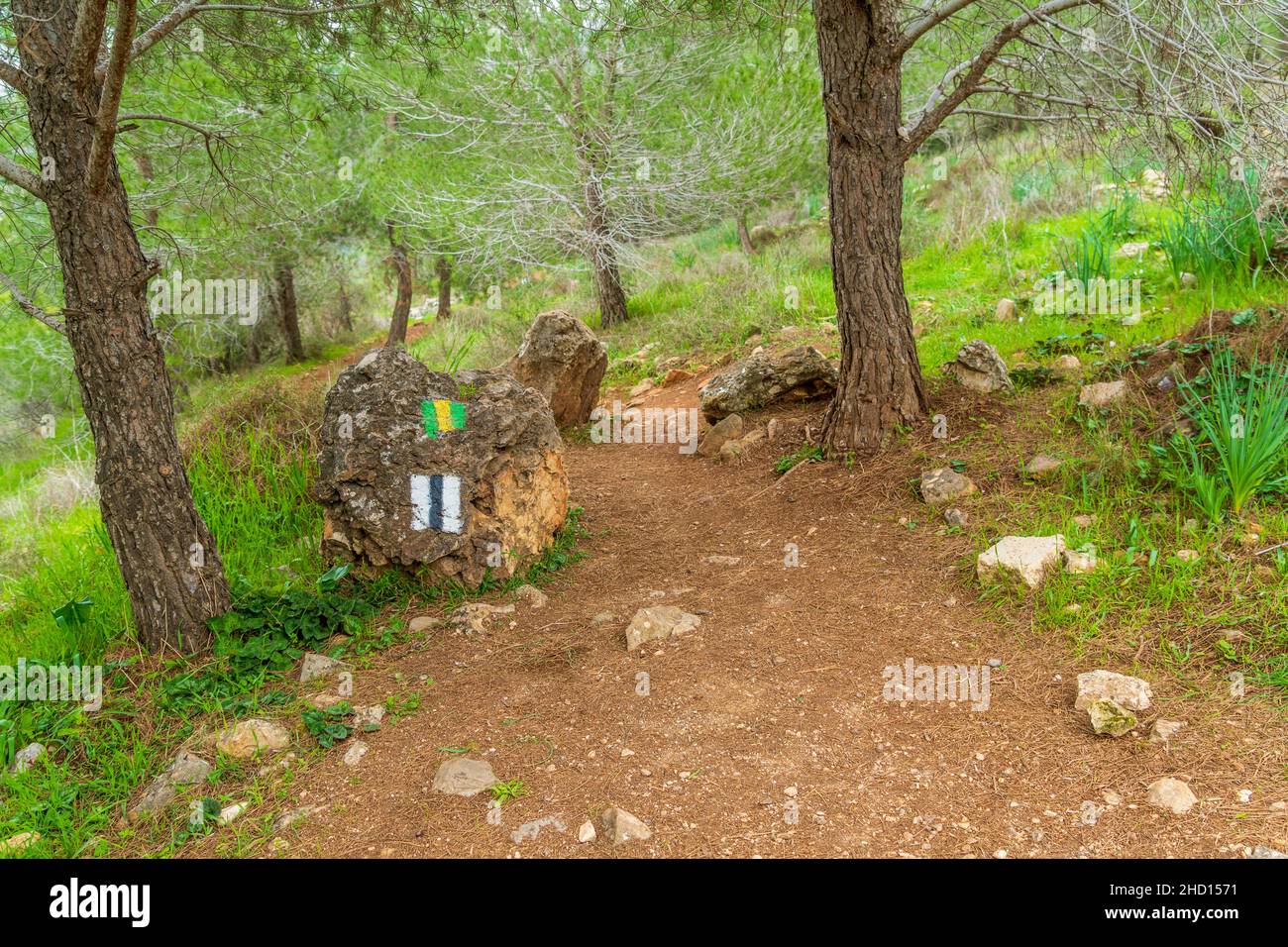 View of a forest footpath in the lower Judaean Mountains, central ...
