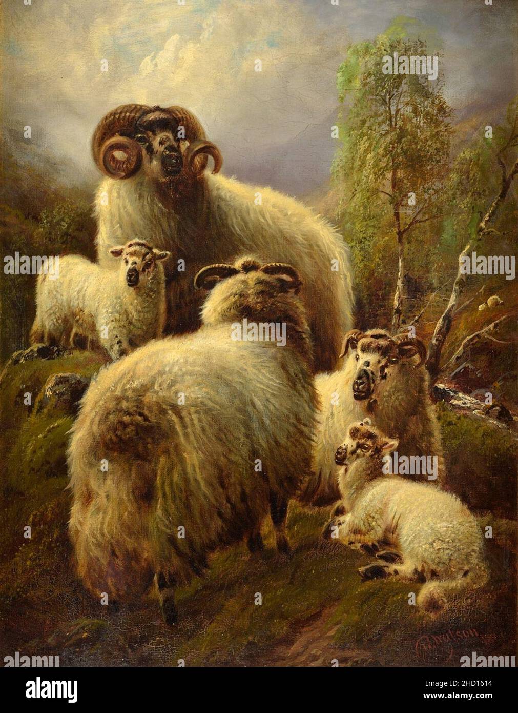 Robert Watson Highland Sheep 1899 Stock Photo - Alamy