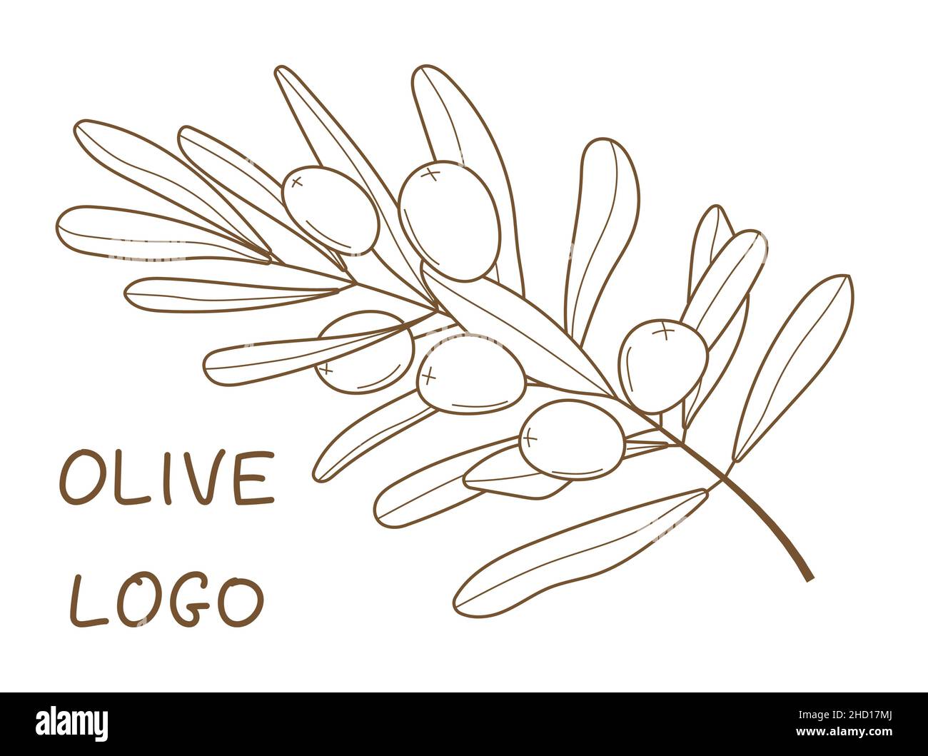 Olive branch vector in doodle, sketch style. Ink, pencil hand drawn ...