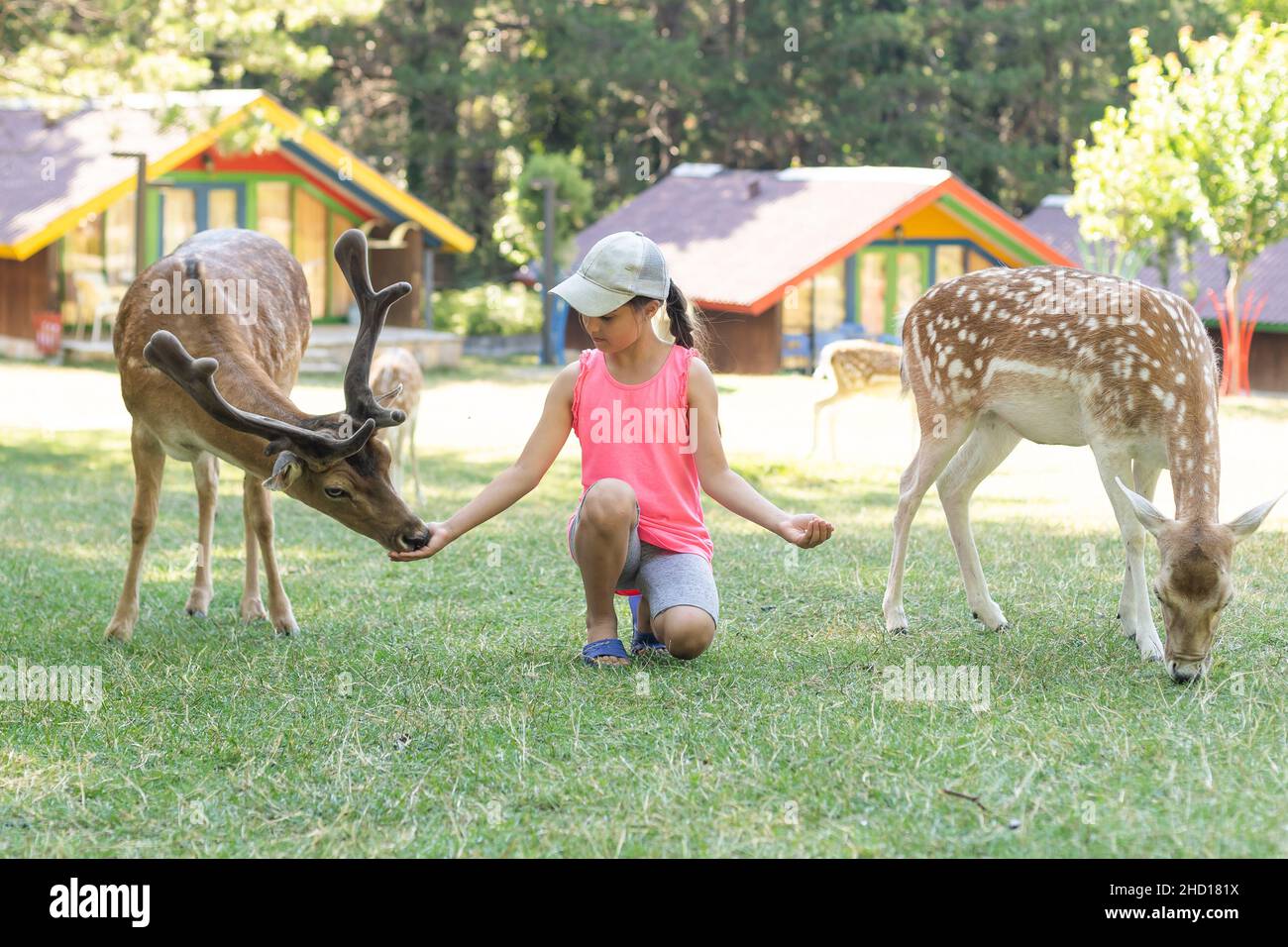 adorable toddler feeds deer on farm. Beautiful baby child petting ...