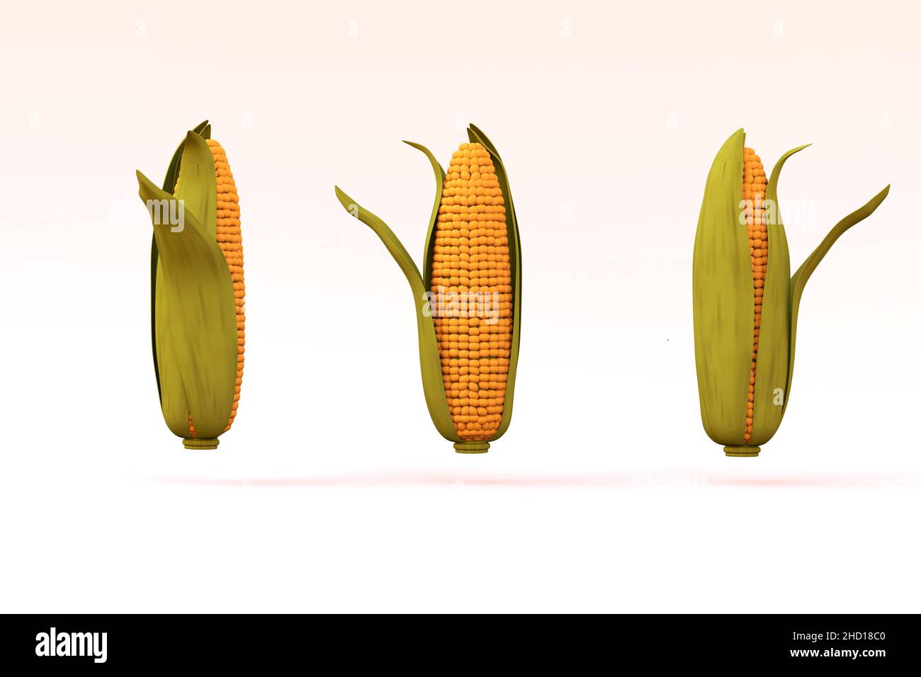 3D realistic corn models on a white isolated background. Yellow corn in ...