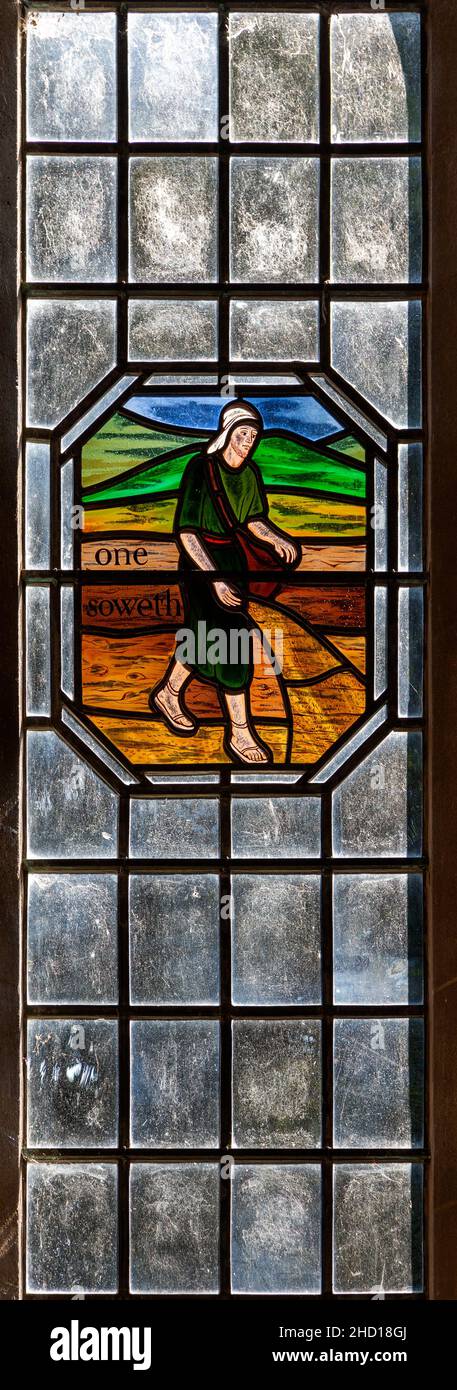 Stained glass window Gunton church, Suffolk, England, UK sowing seed in ...