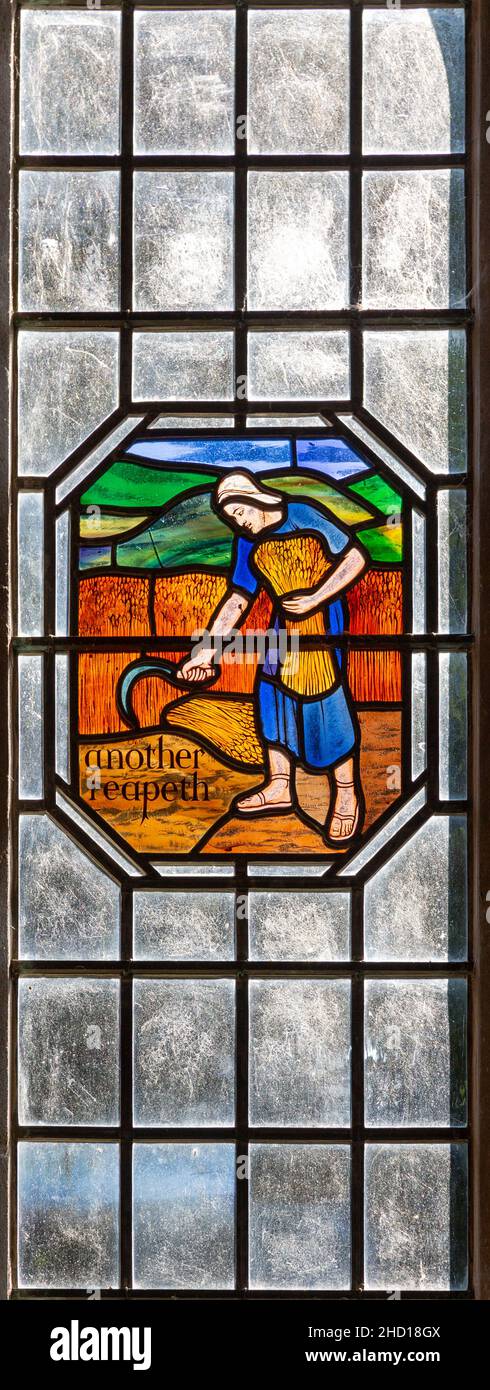 Stained glass window Gunton church, Suffolk, England, UK reaping crops ...