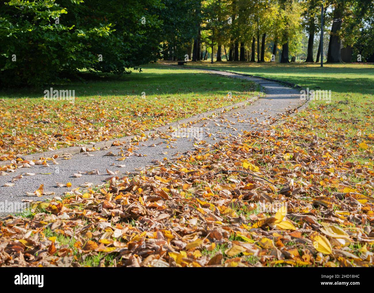 View of the park with a path Stock Photo - Alamy