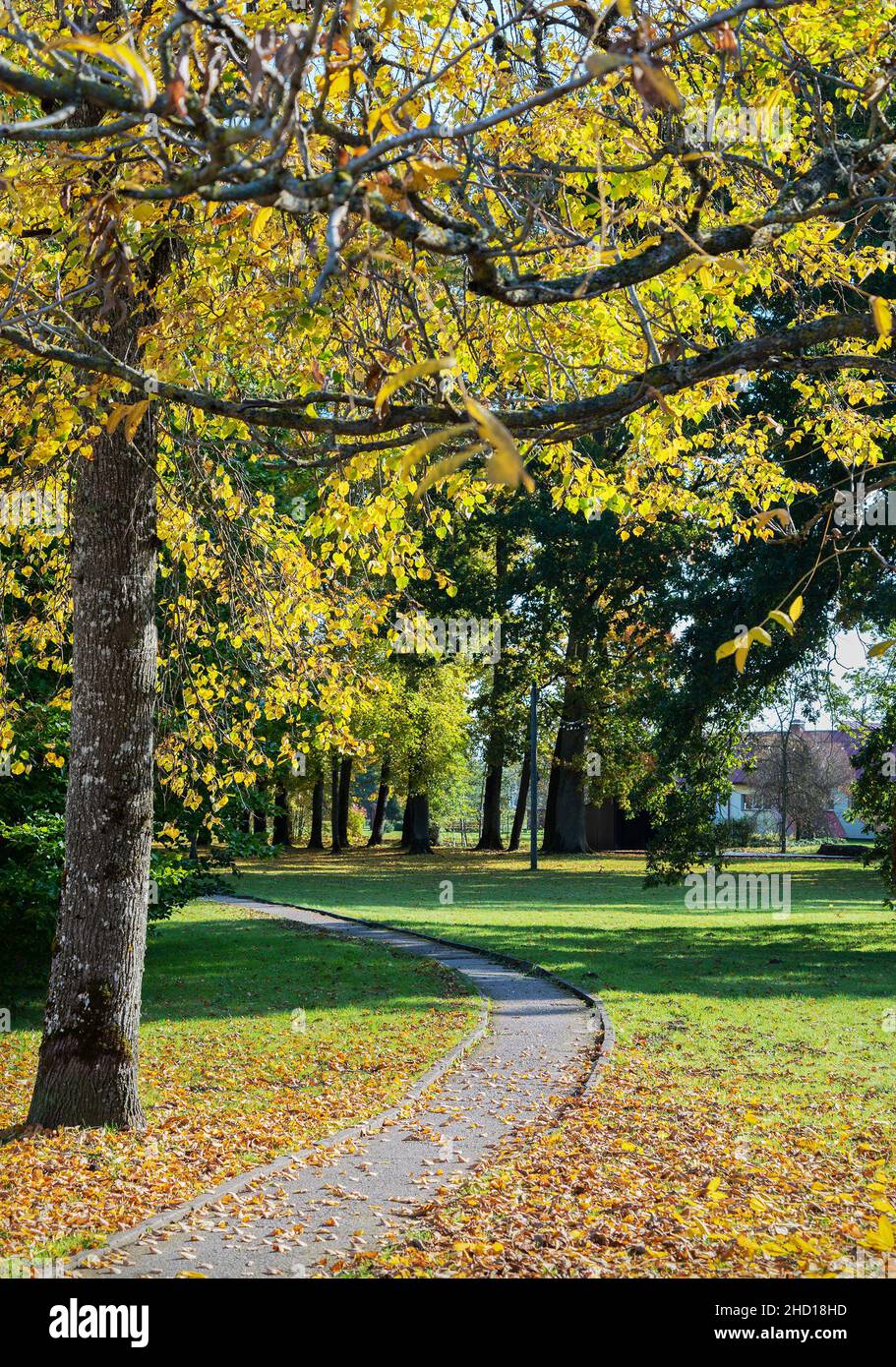 View of the park with a path Stock Photo - Alamy