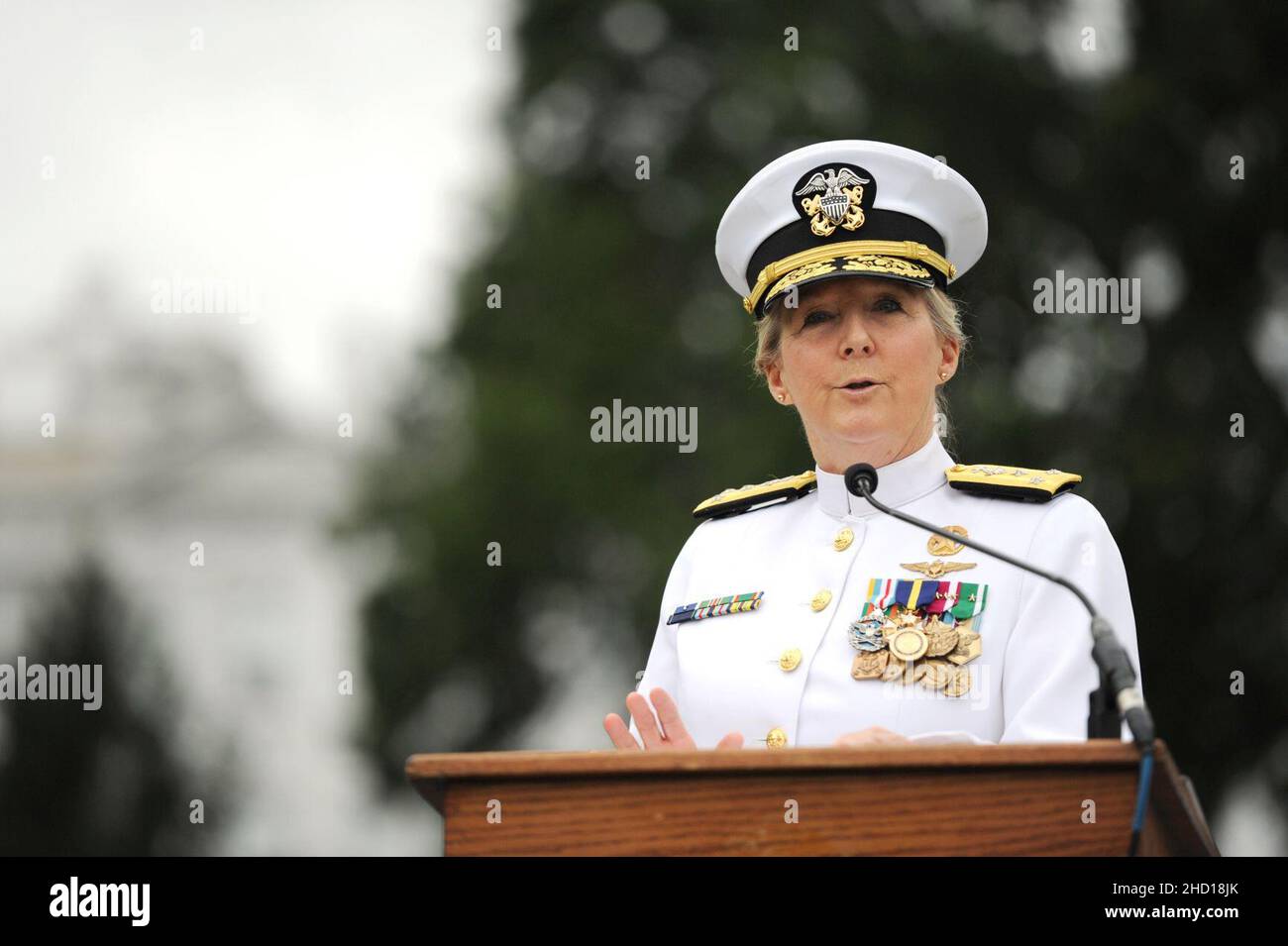 Robin braun hi-res stock photography and images - Alamy