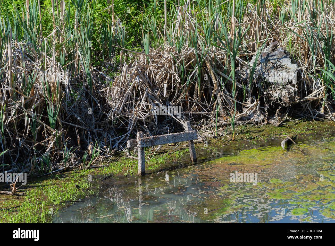 Foul pond with wooden billboard Stock Photo - Alamy