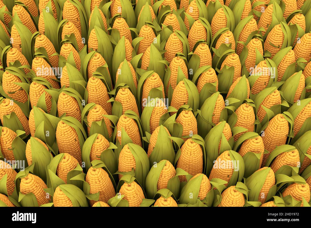 Huge pile of ripe corn, ripe yellow corn with green leaves. Corn ...