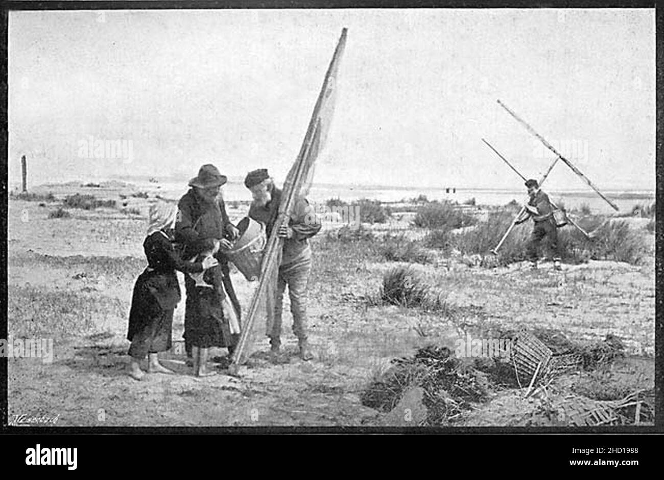 Strange fish hi-res stock photography and images - Alamy