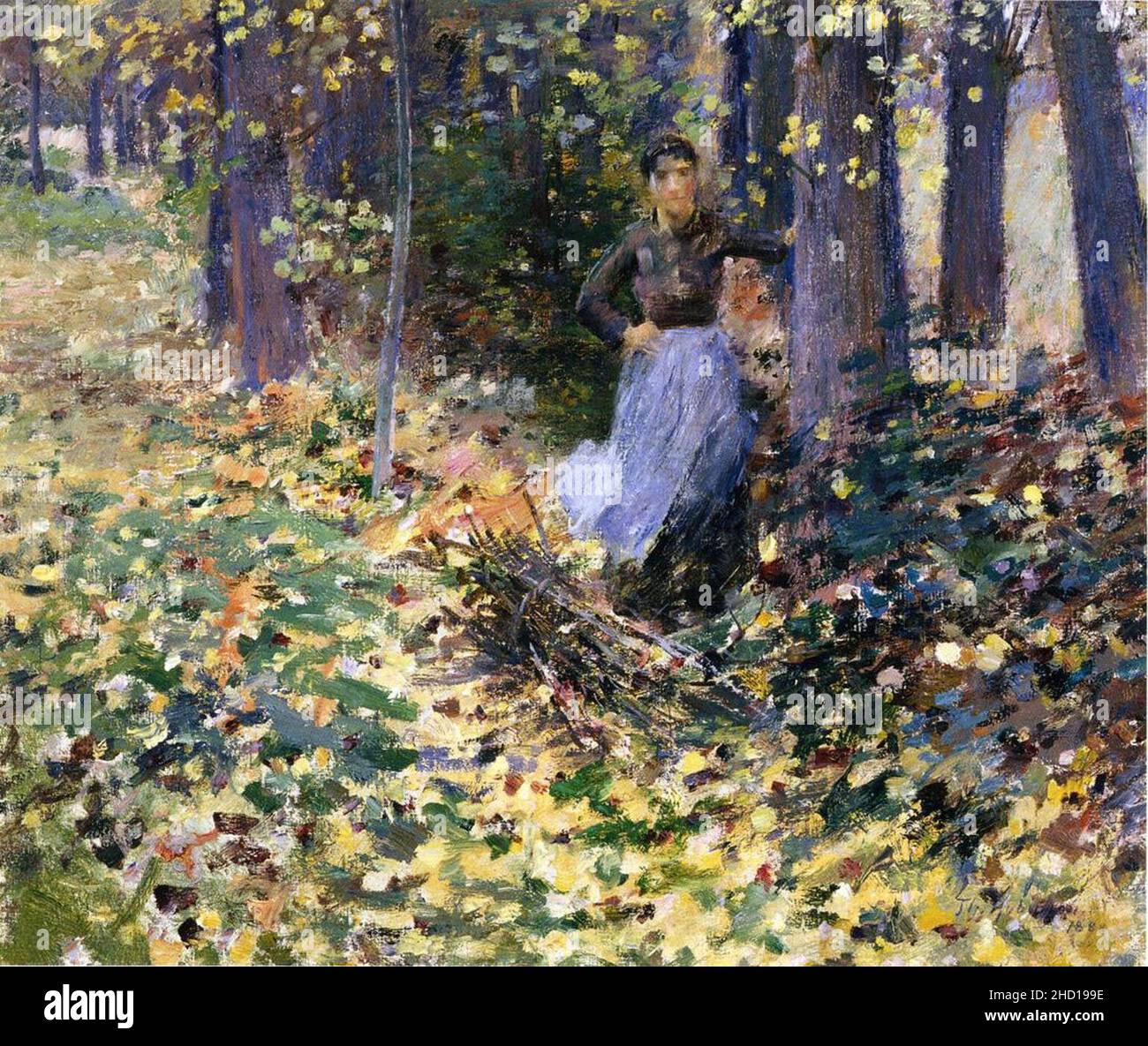 Robinson Autumn Sunlight Stock Photo - Alamy