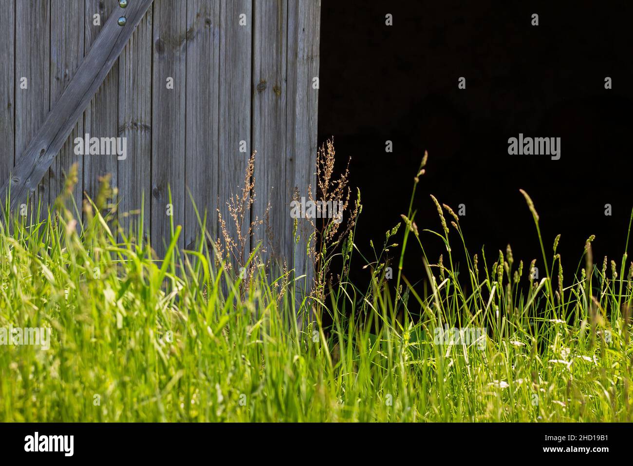 View of the entrance to the village barn Stock Photo - Alamy