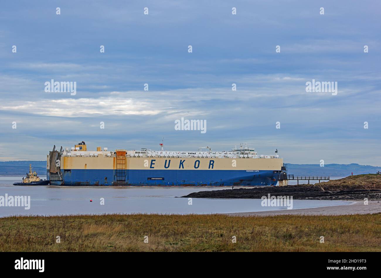 RoRo Morning Capo heading into Portbury docks Stock Photo - Alamy