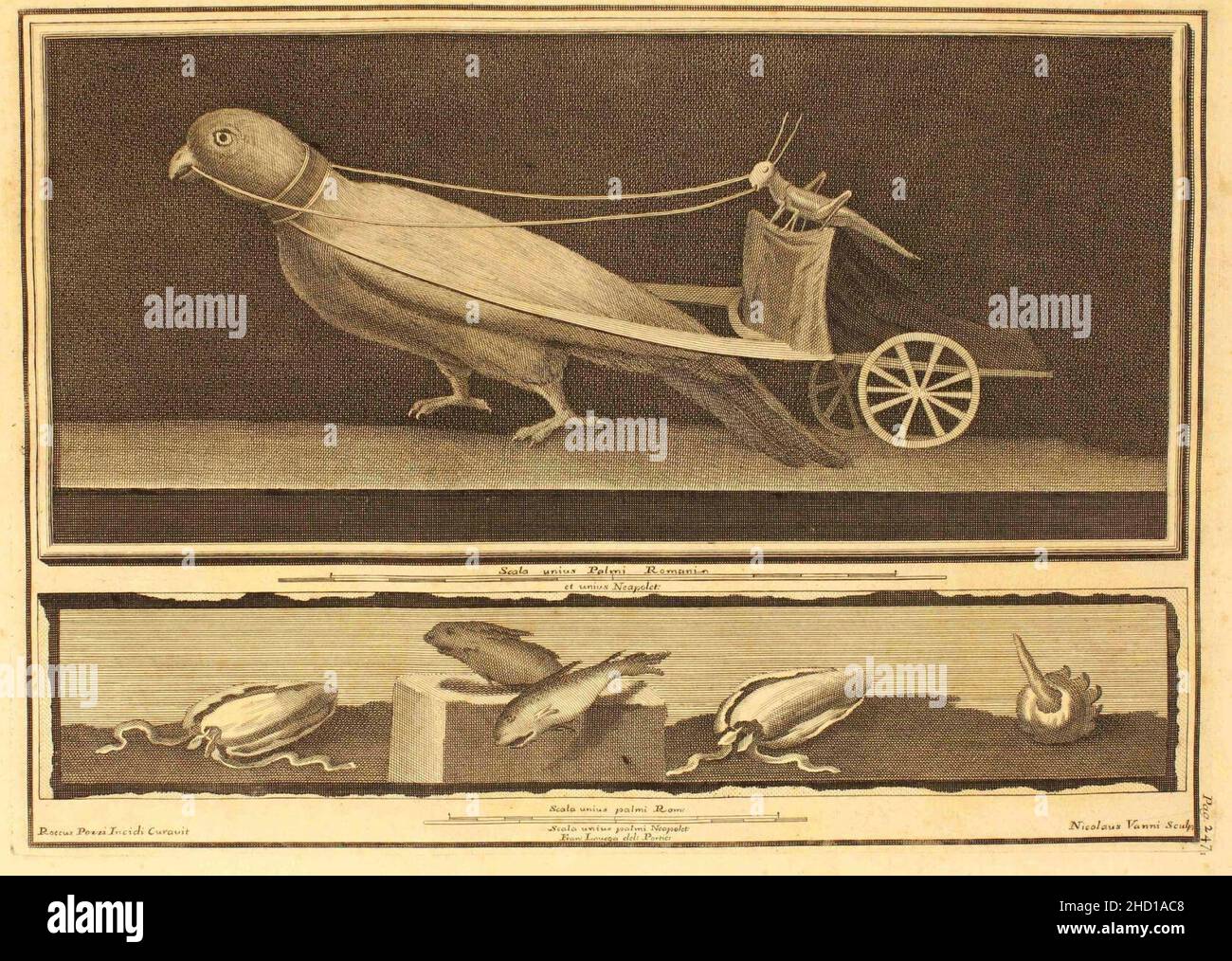 Rocco pozzi hi-res stock photography and images - Alamy