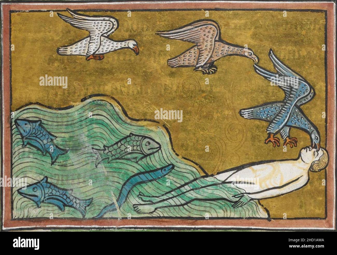 Caladrius hi-res stock photography and images - Alamy