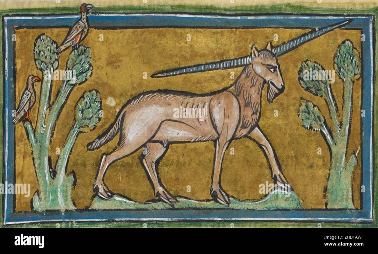 RochesterBestiary detail Yale Stock Photo - Alamy