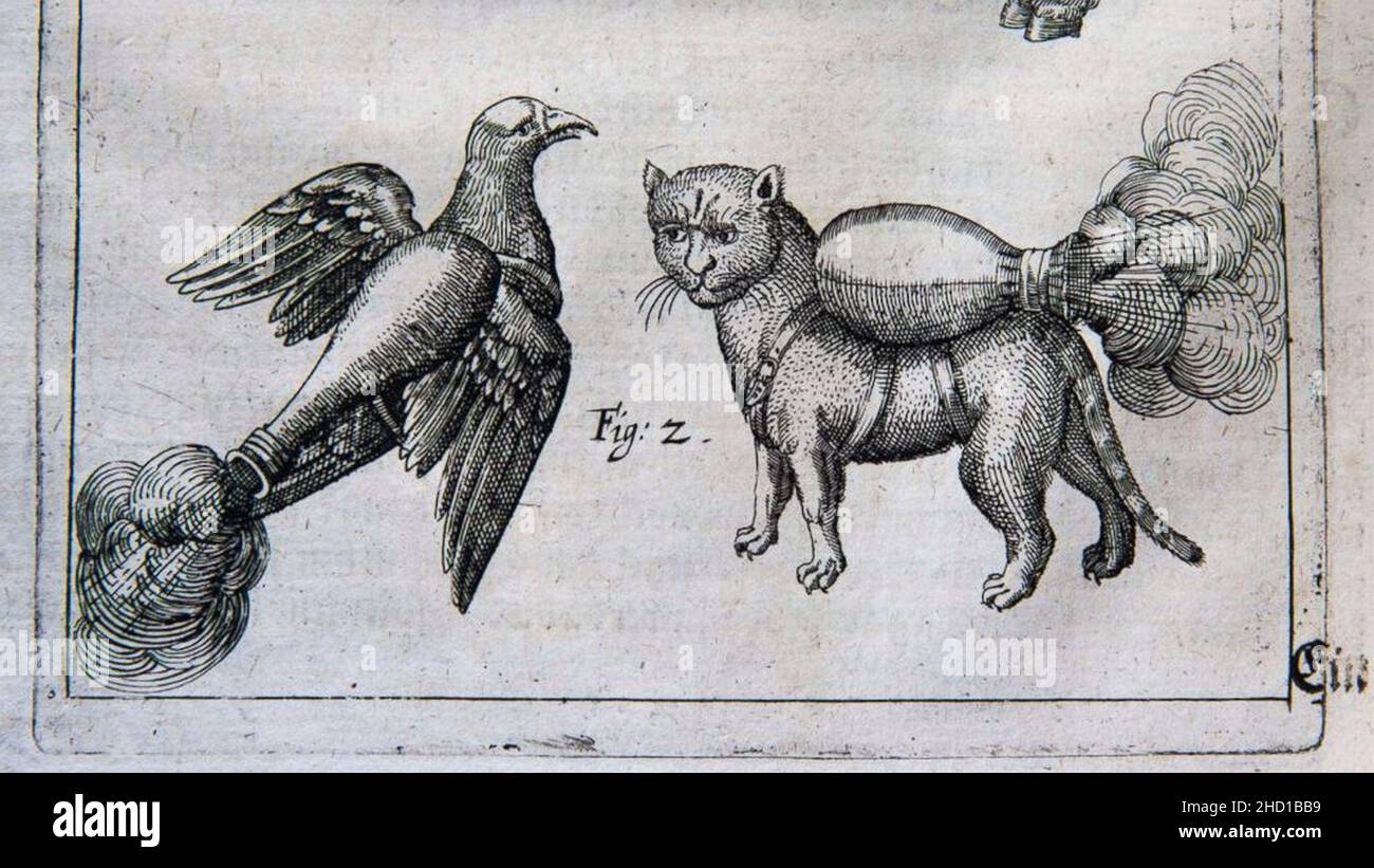 Rocket cat and rocket dove Stock Photo - Alamy