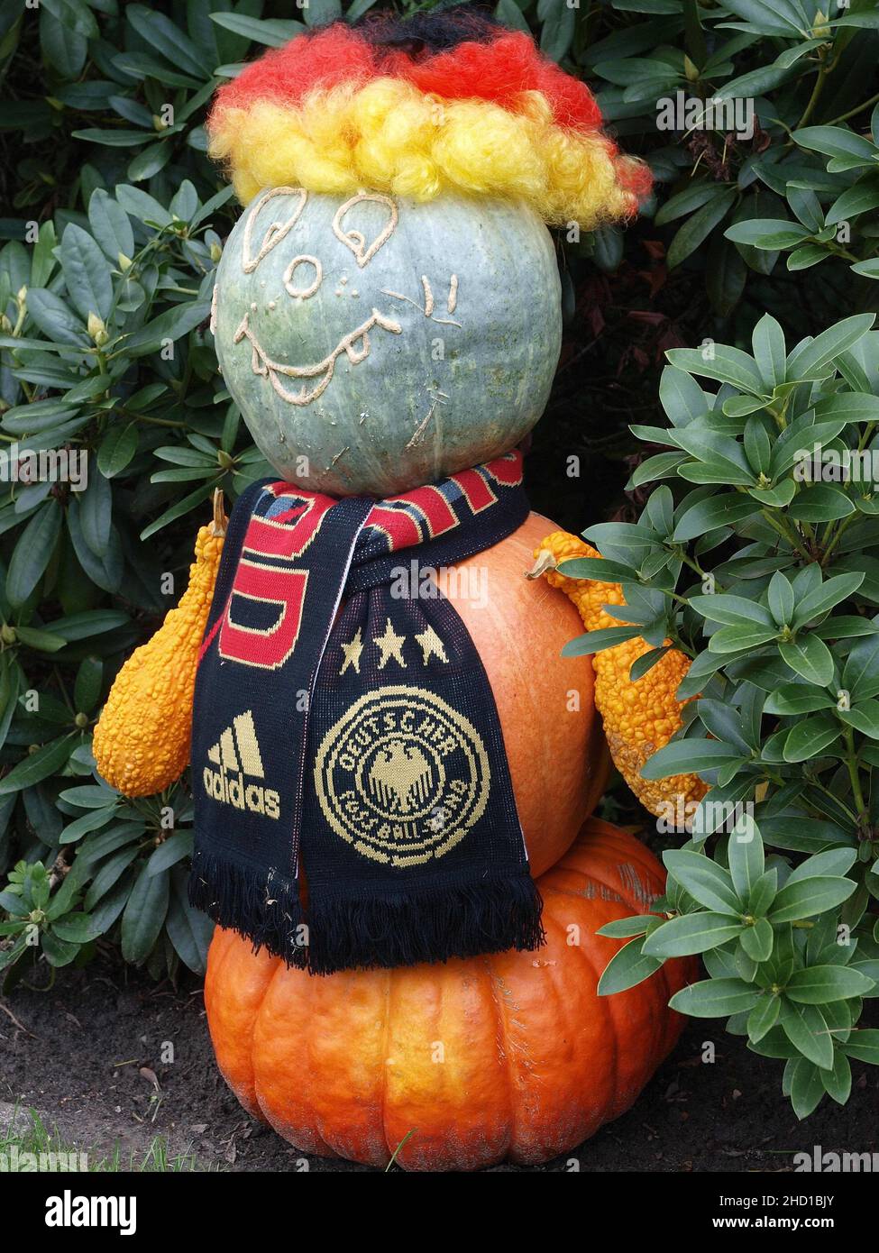 pumpkins in a german garden Stock Photo - Alamy