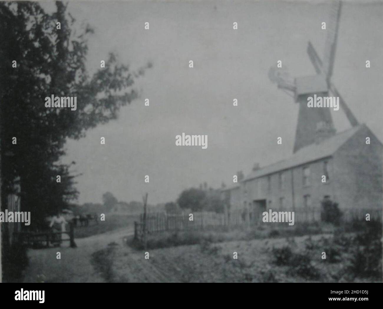 Rodmersham hi-res stock photography and images - Alamy