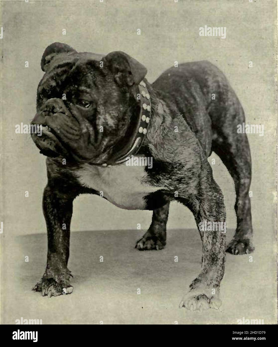 Rodney stone hi-res stock photography and images - Alamy