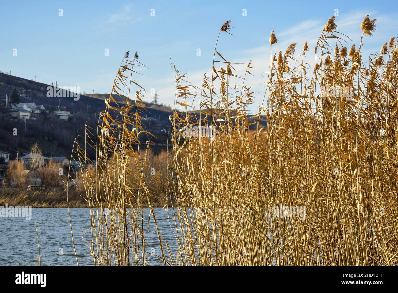 Dry river beds hi-res stock photography and images - Alamy