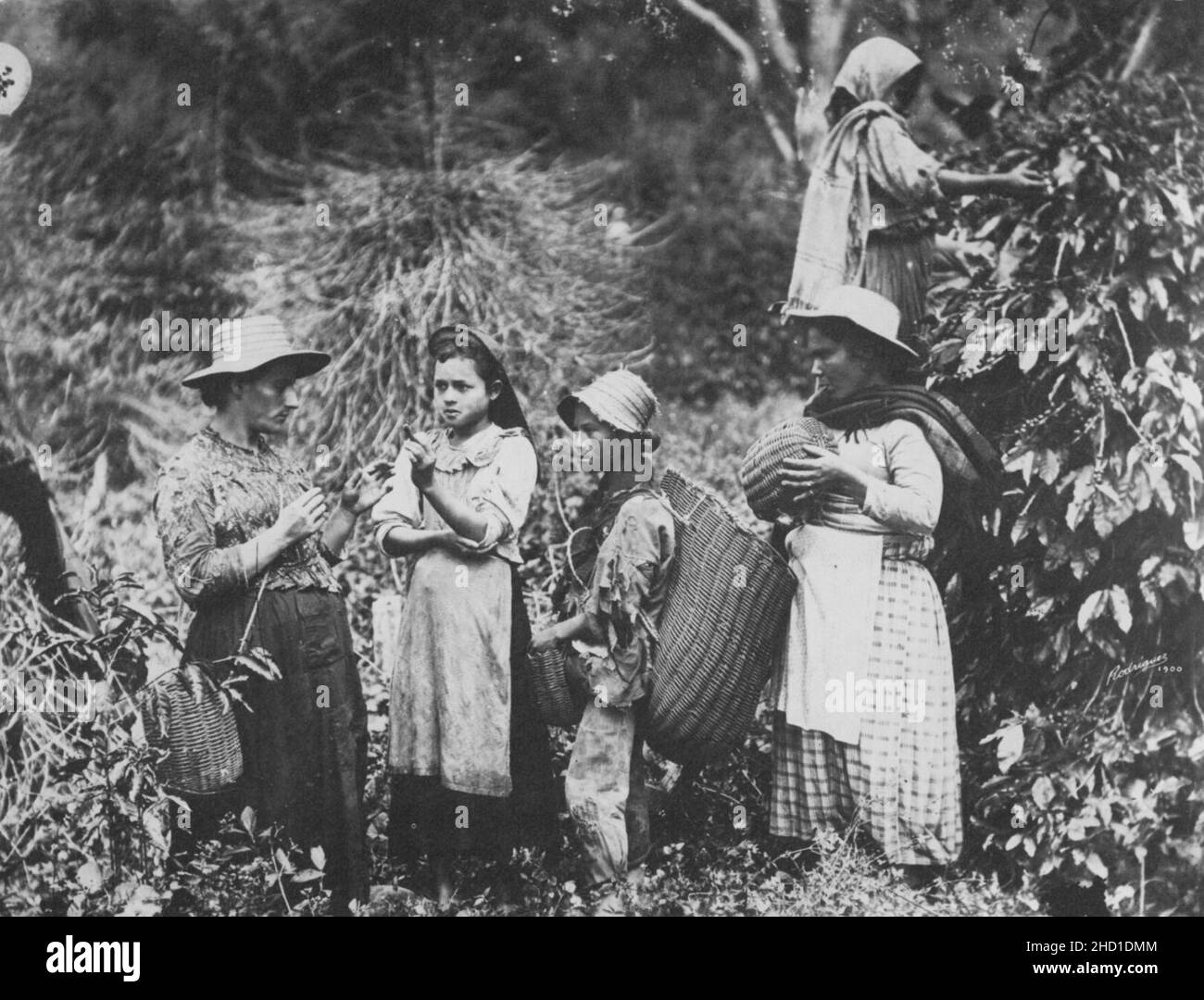 Meliton rodriguez hi-res stock photography and images - Alamy