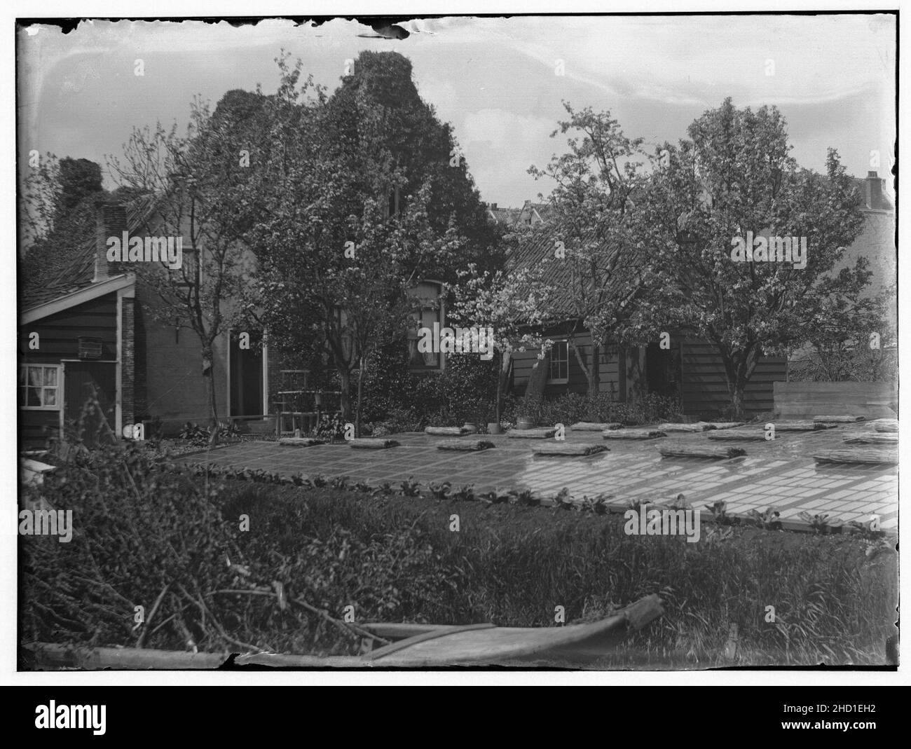 Roelof Cut Out Stock Images & Pictures - Alamy