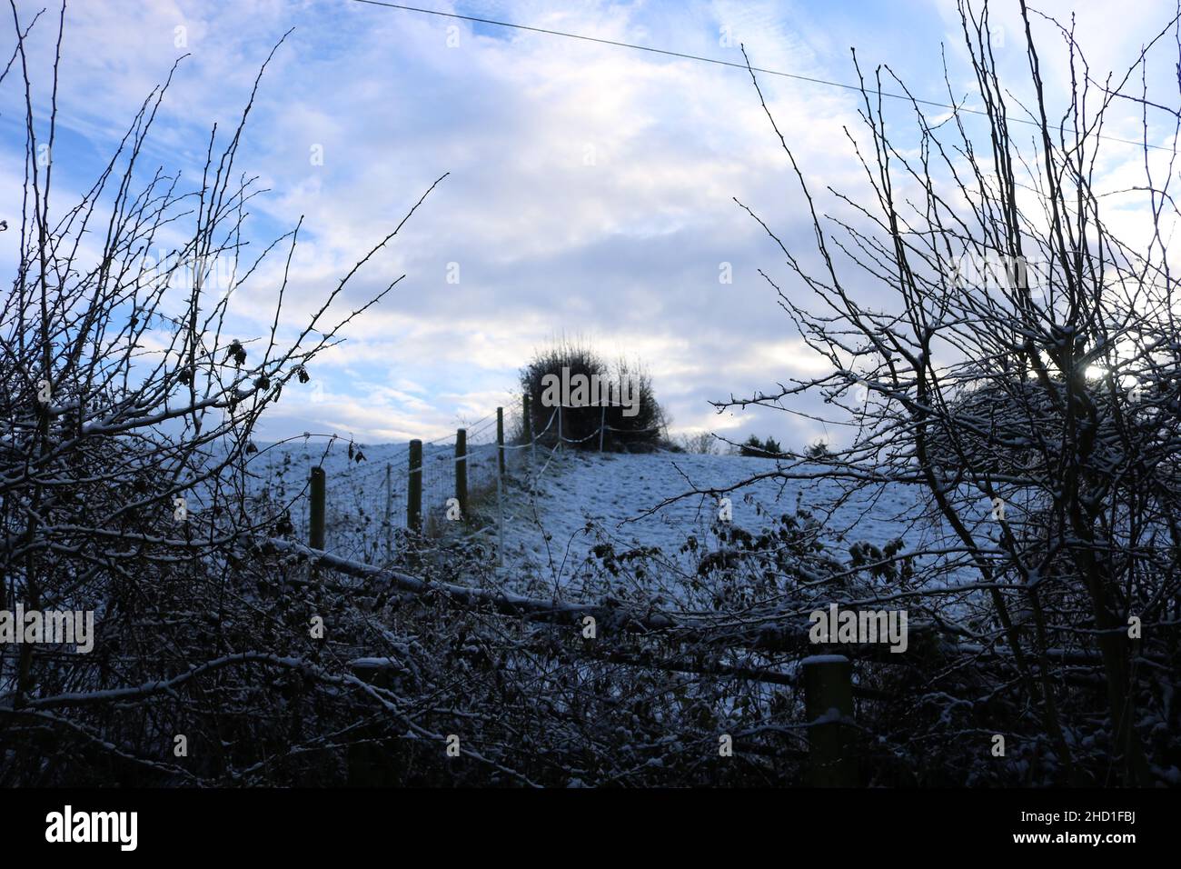 Winter snowy scene in the UK Stock Photo - Alamy