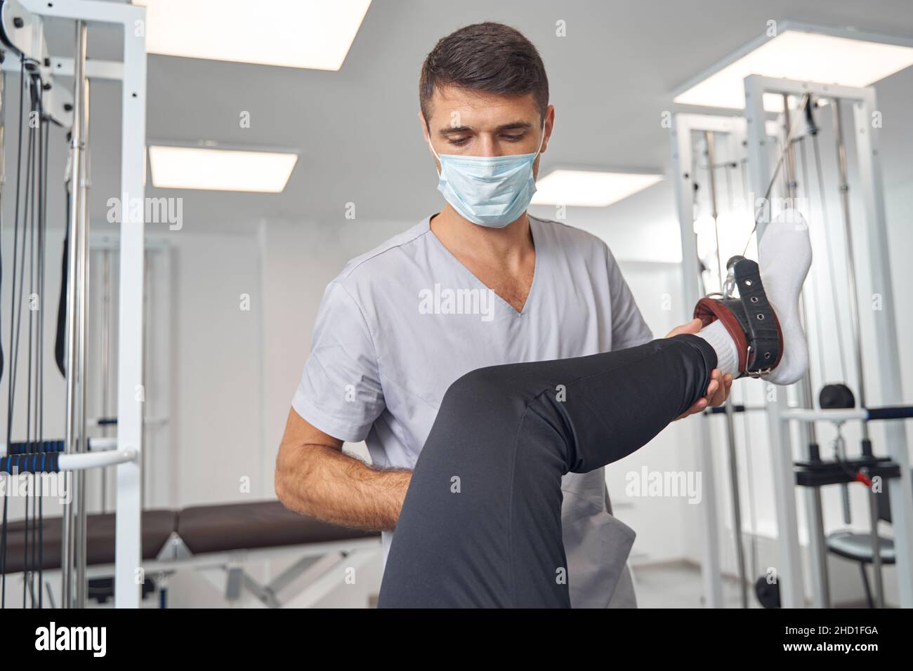 Concentrated Caucasian kinesiologist stretching patient leg muscles ...