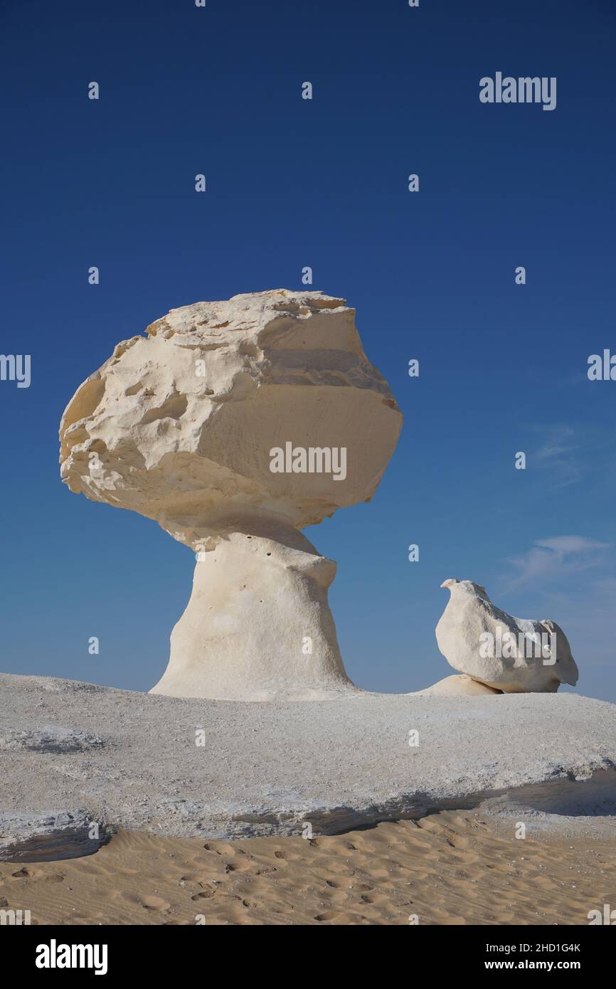 Bird shaped rock formation in the white desert, Egypt Stock Photo - Alamy