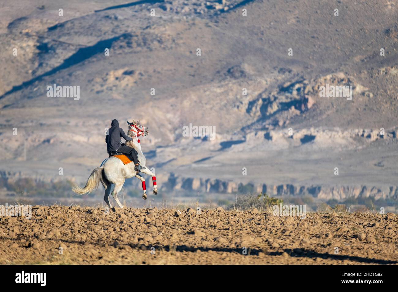 The rampant horse hi-res stock photography and images - Alamy