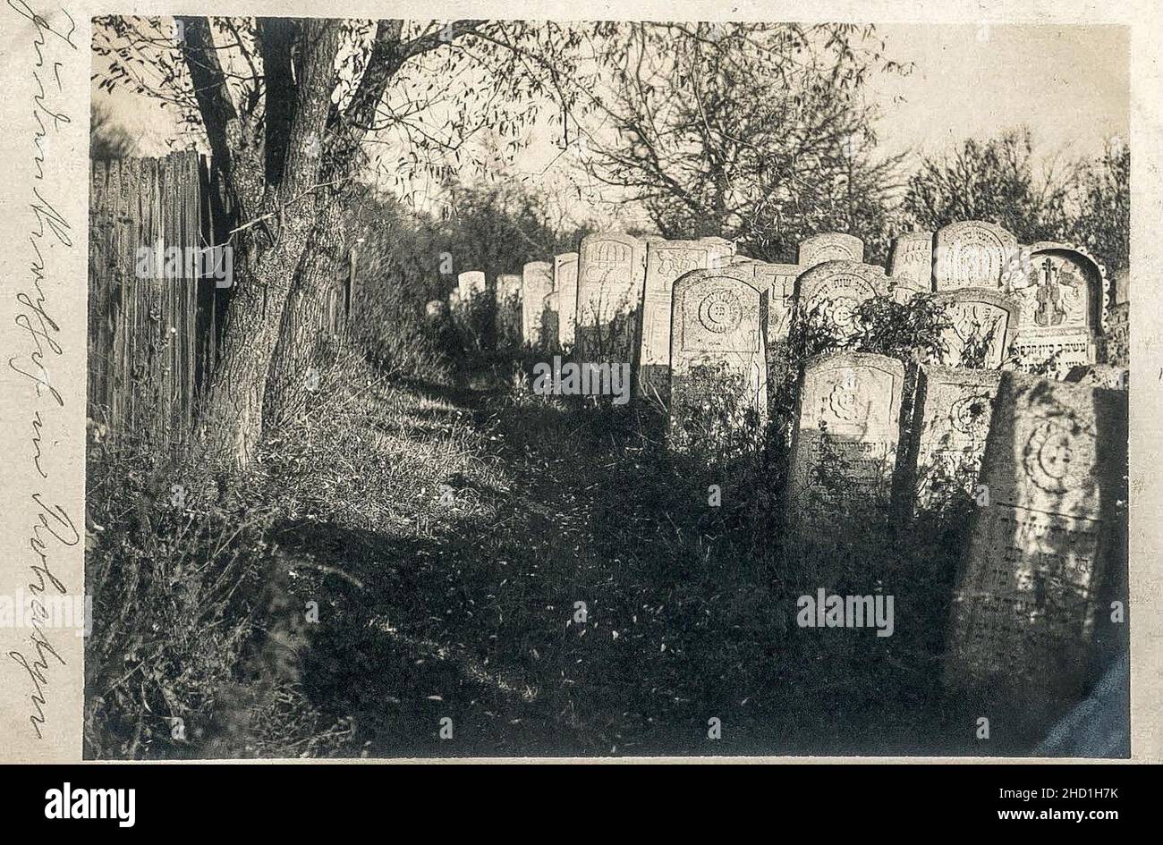 Rohatyn, Stary cmentarz żydowsky Stock Photo - Alamy