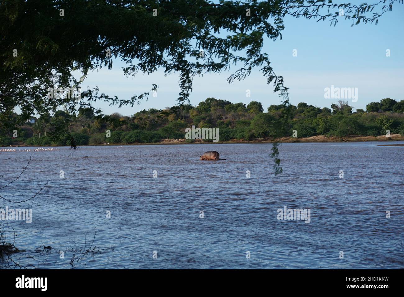 Indian family adventurous activity hi-res stock photography and images ...
