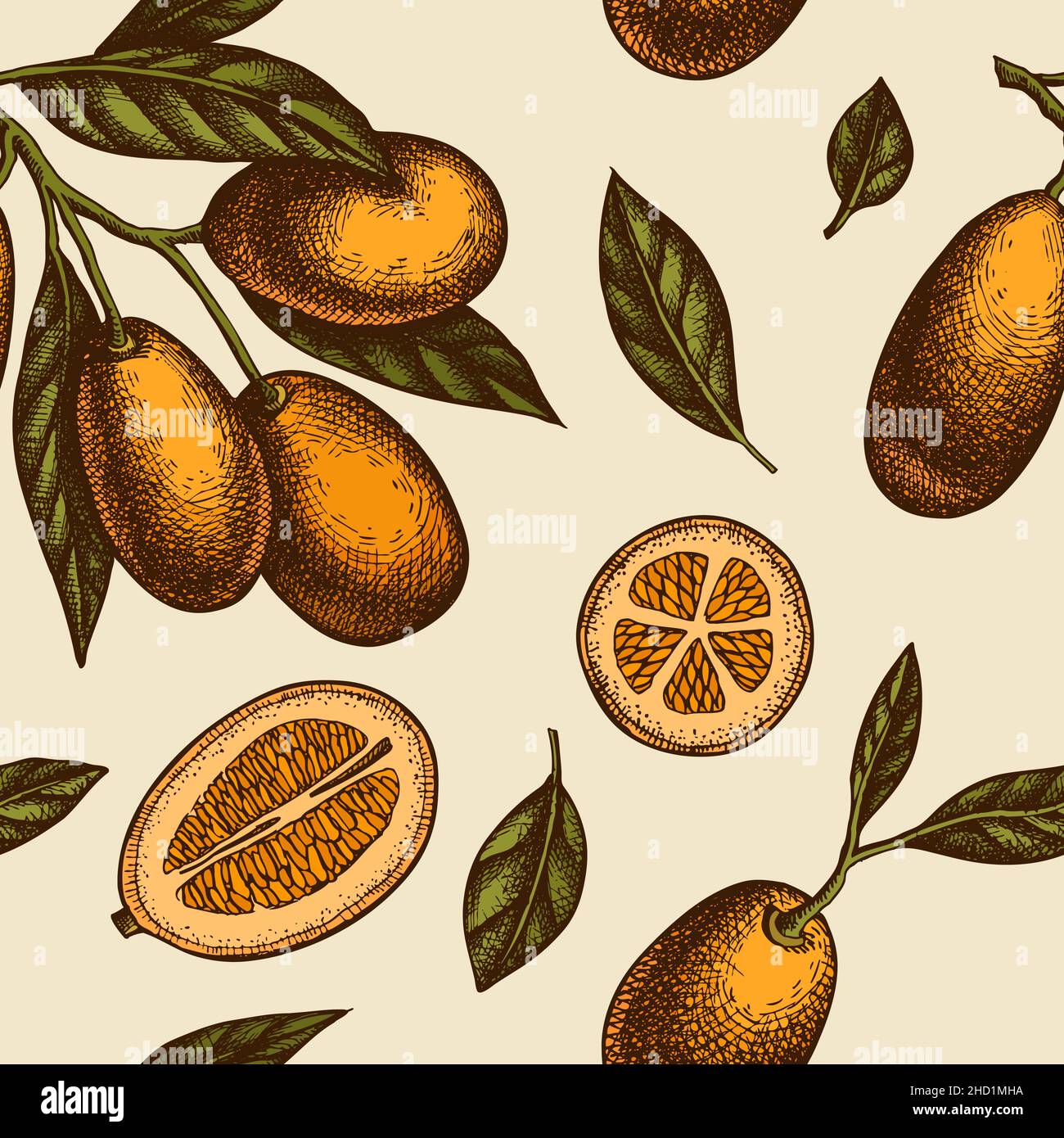 Citrus seamless pattern background design. Engraved style. Hand drawn kumquat Stock Vector Image ...