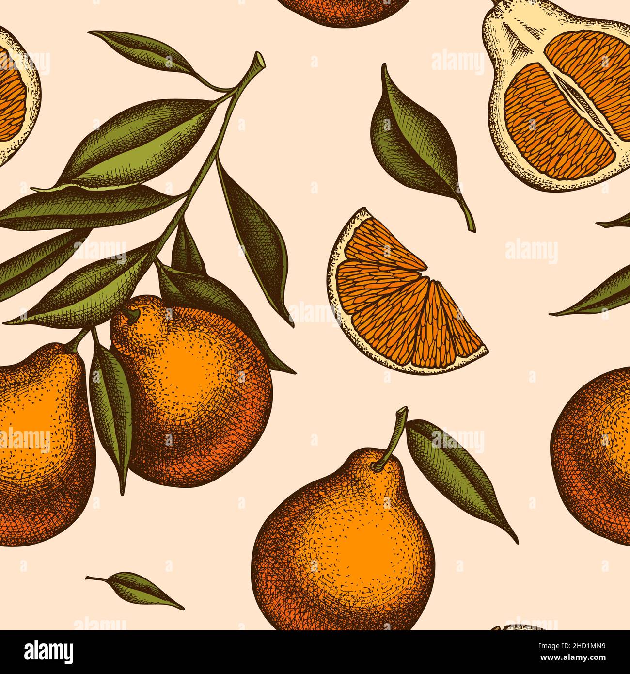 Citrus seamless pattern background design. Engraved style. Hand drawn tangelo Stock Vector Image ...