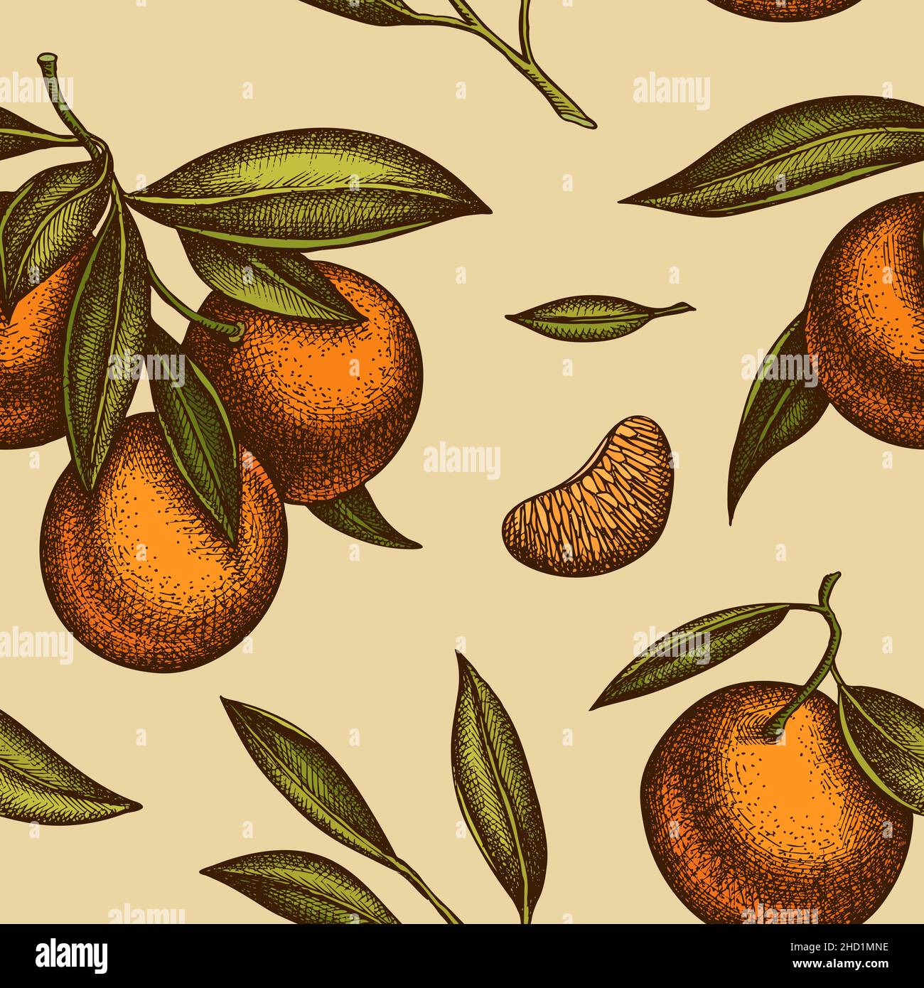 Citrus seamless pattern background design. Engraved style. Hand drawn mandarin Stock Vector ...