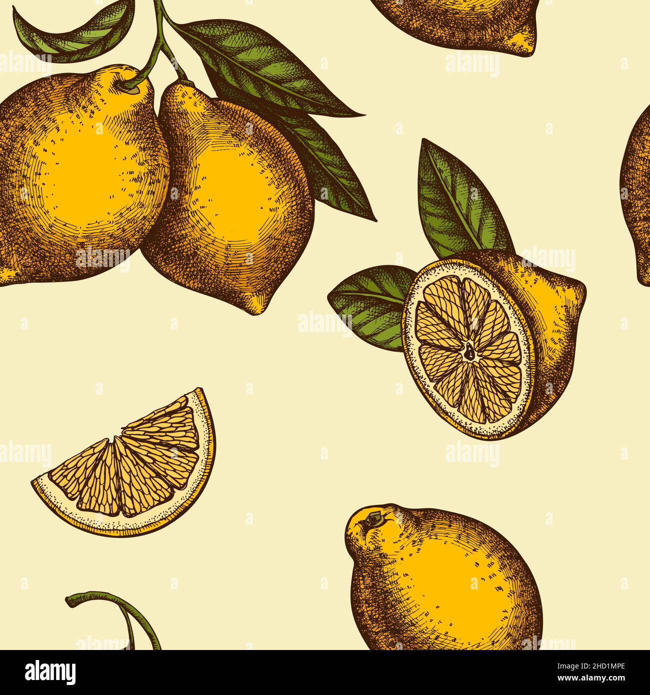 Citrus seamless pattern background design. Engraved style. Hand drawn lemon Stock Vector Image ...